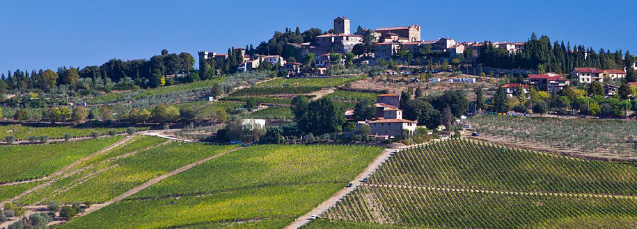 Wine Store | Wine Importer | Wine Distributor - Rare Wine Co.