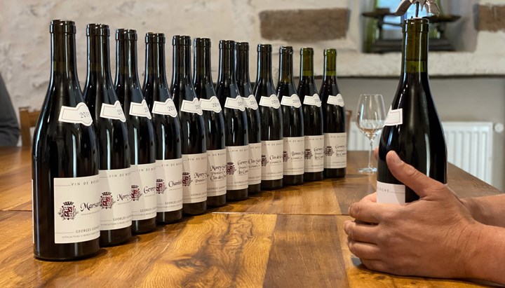 Wine Store | Wine Importer | Wine Distributor - Rare Wine Co.